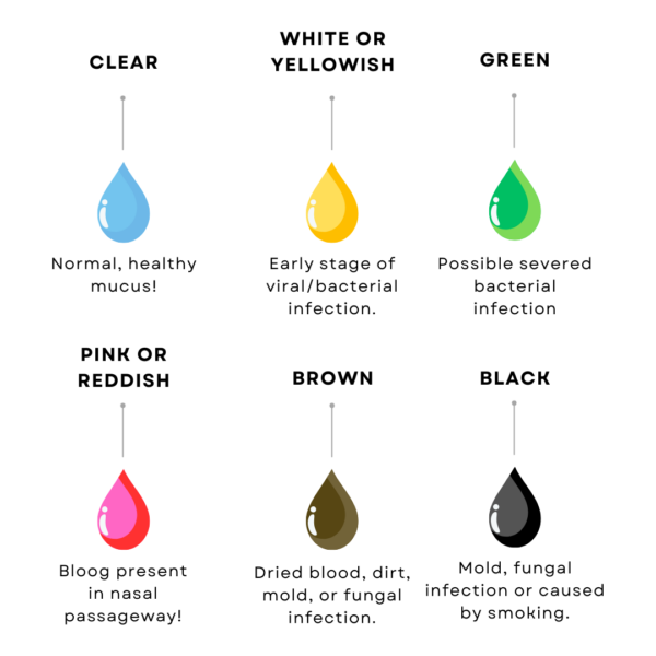 Your Mucus Color Meaning - Green Mucus to Clear Snot Meanings
